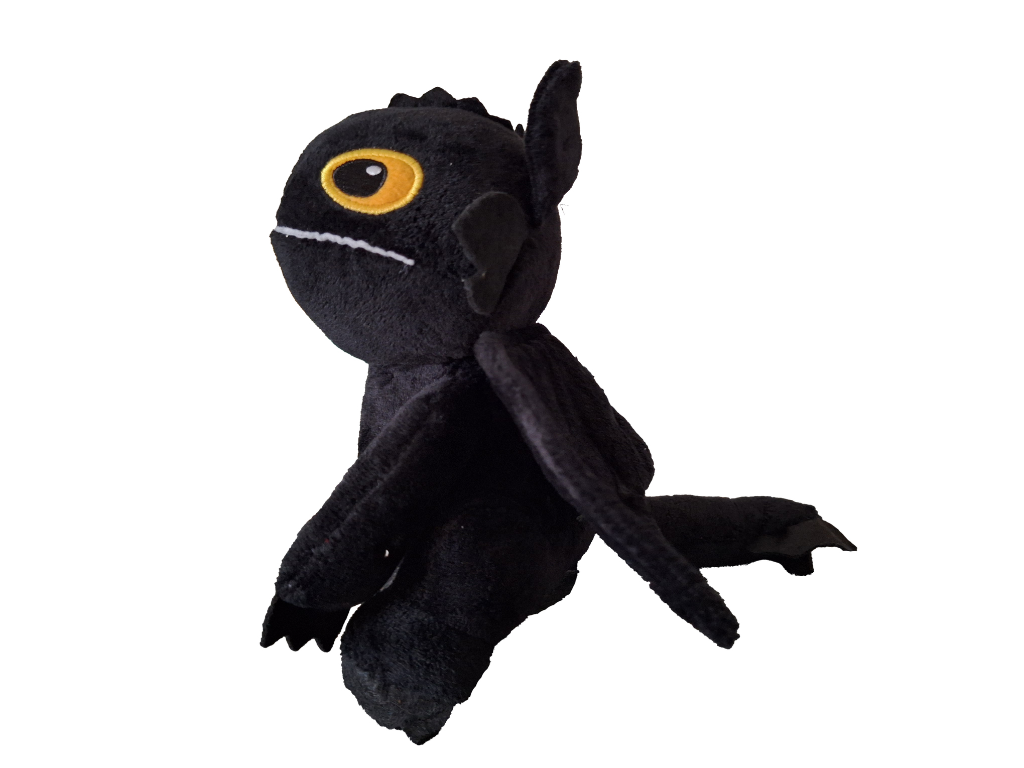 Bezzubka velká, cca 20cm | RajenPets.cz