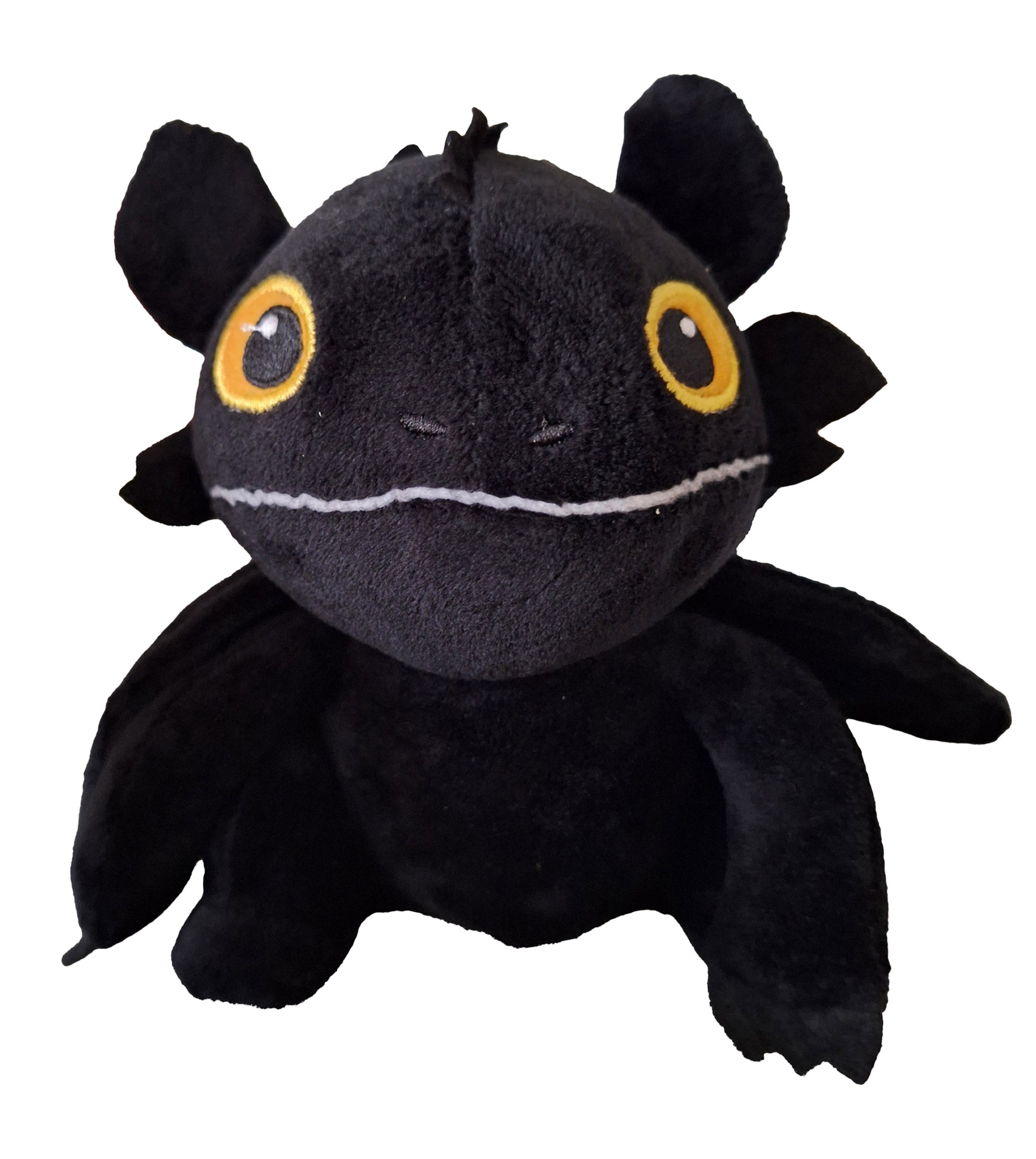 Bezzubka velká, cca 20cm | RajenPets.cz